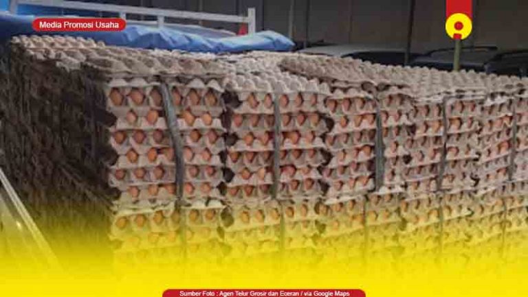 7 Toko Supplier Agen Telur Ayam di Denpasar, Bali Murah - Media Promosi