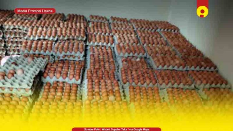 7 Toko Supplier Agen Telur Ayam di Kota Yogyakarta Murah - Media Promosi