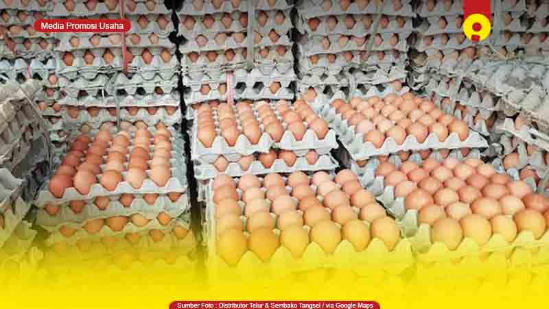 11 Toko Supplier Agen Telur Ayam di Tangerang Selatan Murah - Media Promosi